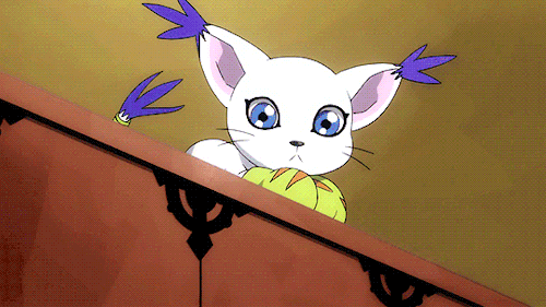Download Anime Digimon Gif - Gif Abyss