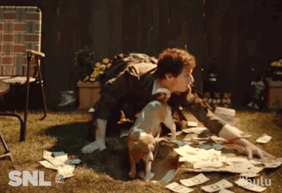 Saturday Night Live Gif - Gif Abyss