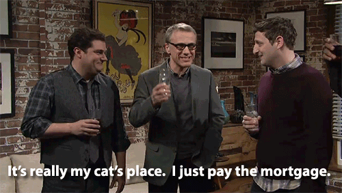 Saturday Night Live Gif - Gif Abyss