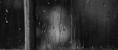 Download Photography Rain Gif - Gif Abyss