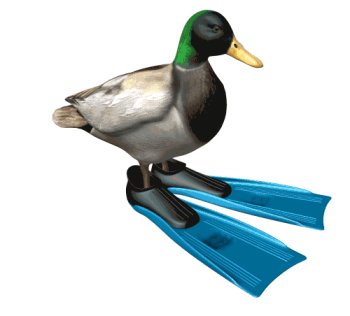 Duck Gifs