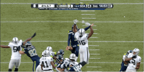 Download Seattle Seahawks Sports Gif