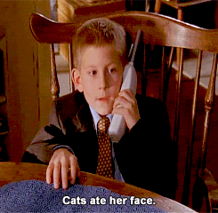 Download Comedy TV Show Malcolm In The Middle Gif
