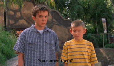 Download Comedy TV Show Malcolm In The Middle Gif
