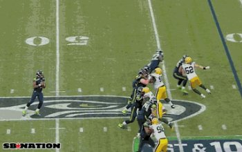 Download Seattle Seahawks Sports Gif