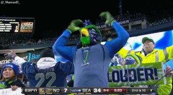 Download Seattle Seahawks Sports Gif