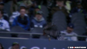 Download Seattle Seahawks Sports Gif