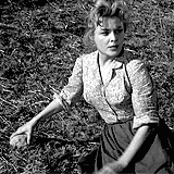 Rawhide Gif - Gif Abyss