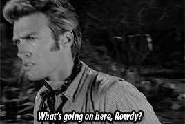 Download Clint Eastwood Western TV Show Rawhide Gif - Gif Abyss