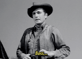 Download Western TV Show Rawhide Gif