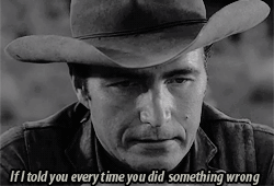 Rawhide Gif - Gif Abyss