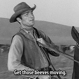 Download Clint Eastwood Western TV Show Rawhide Gif