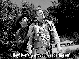 Download Clint Eastwood Western TV Show Rawhide Gif