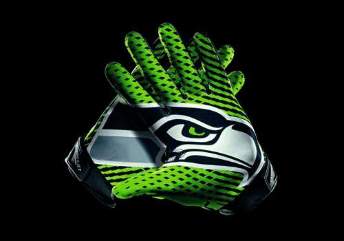 Download Seattle Seahawks Sports Gif