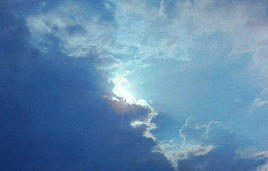 Download Movie The Craft Gif