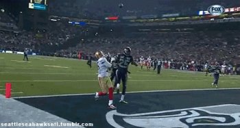 [280+] Seattle Seahawks Gifs