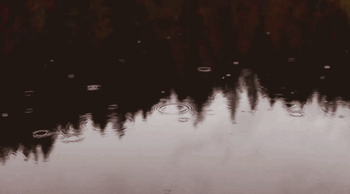 Download Photography Rain Gif