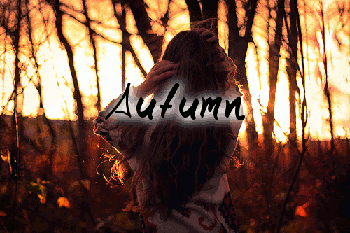 Download Nature Fall Gif - Gif Abyss