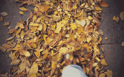Fall Gif - Gif Abyss