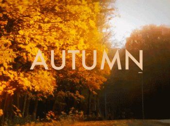 Download Nature Fall Gif