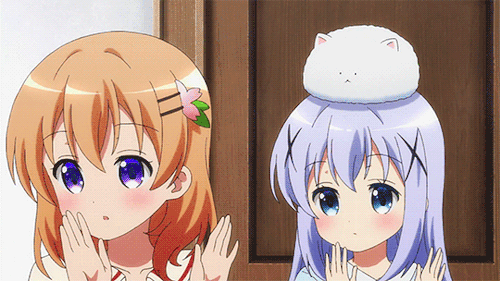 Is the Order a Rabbit? Gif - Gif Abyss