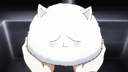 Is the Order a Rabbit? Gif - Gif Abyss