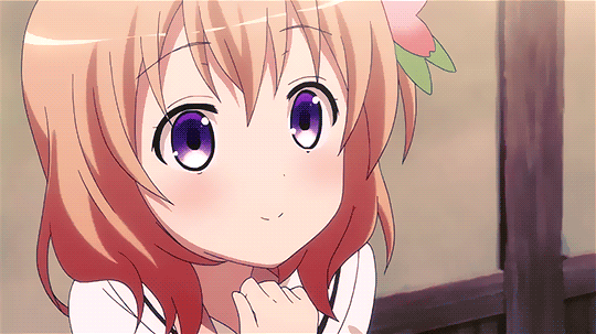 Is the Order a Rabbit? Gif - Gif Abyss