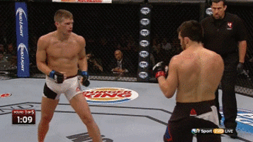 Download Mixed Martial Arts Sports Gif
