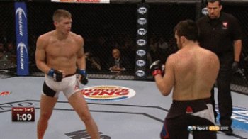 Download Mixed Martial Arts Sports Gif