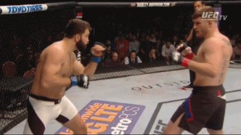 Download Mixed Martial Arts Sports Gif