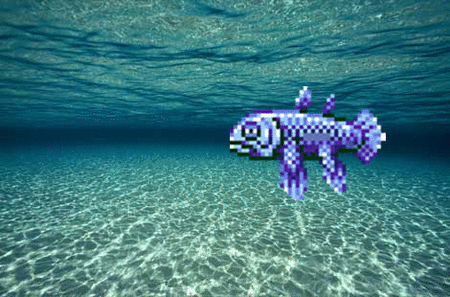 Download Animal Fish Gif