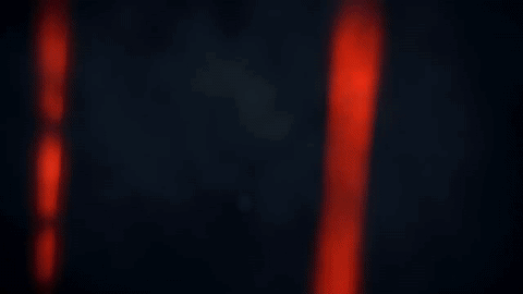 Asus ROG GIF Wallpaper