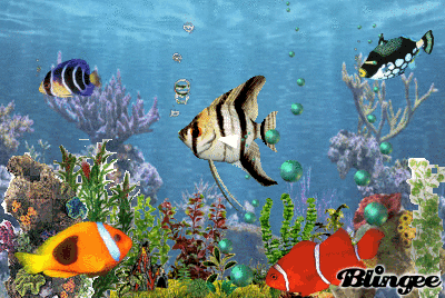 Download Animal Fish Gif
