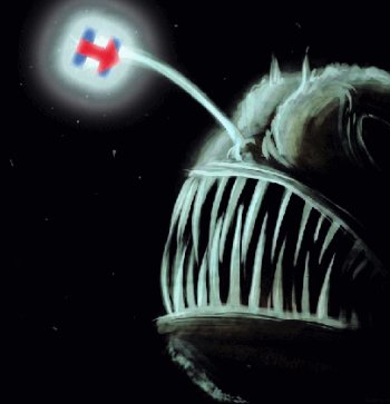 Download Animal Fish Gif