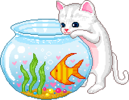 Cat Fishing Gif Upside Down Catfish Doesn't Care What You Think | KQED