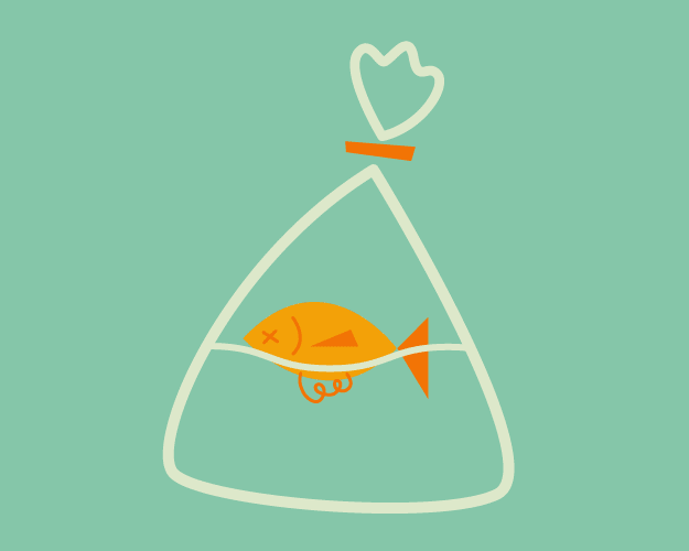 Download Animal Fish Gif