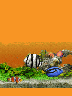 Download Animal Fish Gif