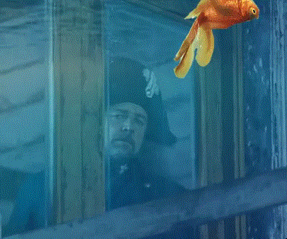 Fish Gif - Gif Abyss