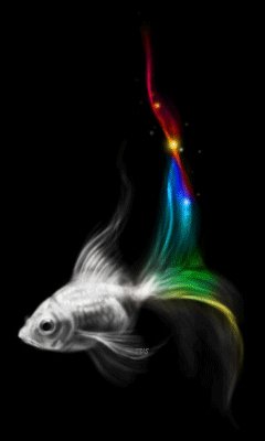 Download Animal Fish Gif