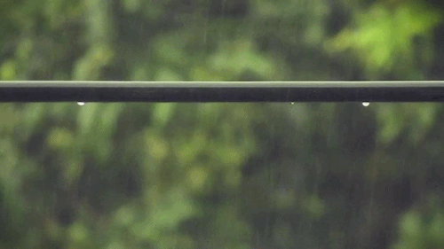 Download Photography Rain Gif