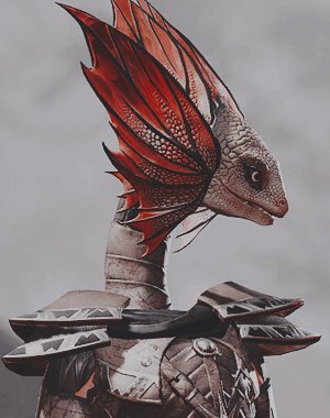 Download Video Game Divinity: Original Sin II Gif