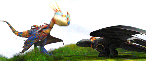 How to Train Your Dragon 2 Gif - Gif Abyss