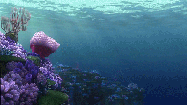 Finding Nemo Gif - Gif Abyss