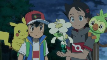 Floette (Pokémon) Gifs