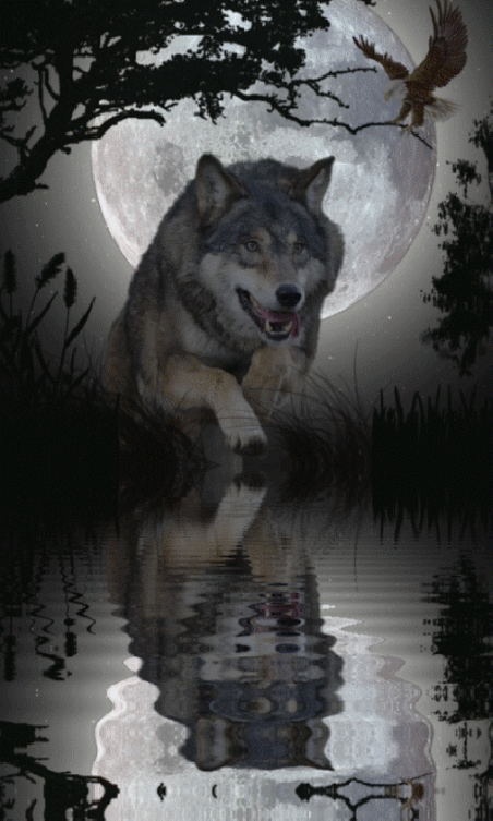 Fantasy Wolf Gif - Gif Abyss