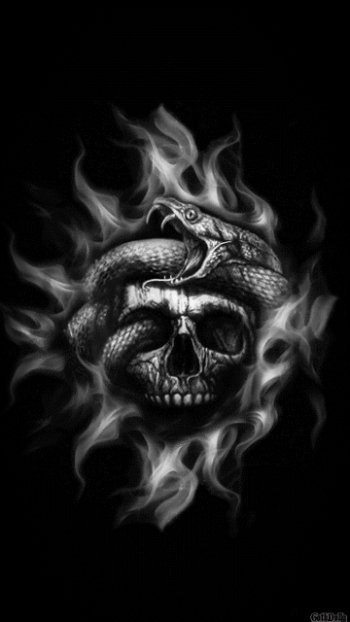 Skull Gifs: Free Download [200+]
