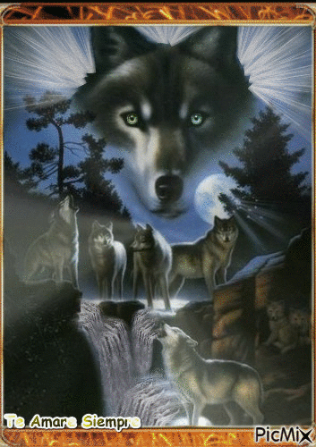 Fantasy Wolf Gif - Gif Abyss