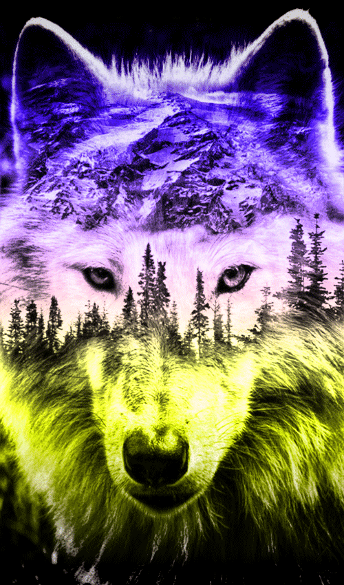 Download Fantasy Wolf Gif