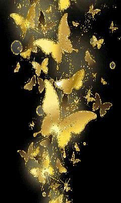 Butterfly Gifs: Free Download [560+]