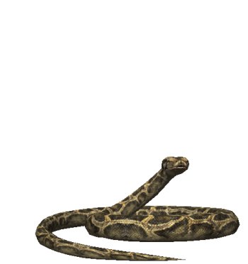 [30+] Snake Gifs